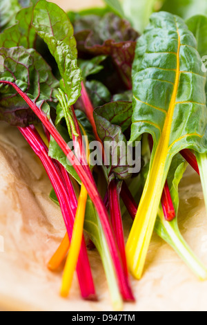 Bunch of rainbow swiss chard leaves on beige stone table Stock Photo ...