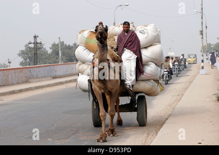 Camel pulling a cart loaded with cargo, Sawai Madhopur, Rajasthan ...