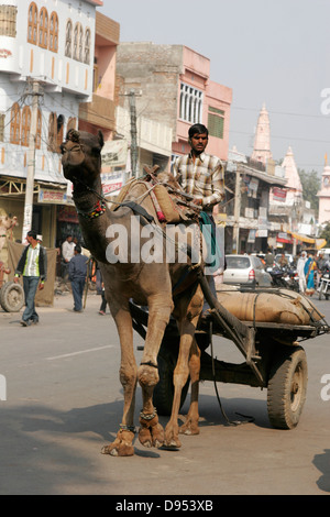 Camel pulling a cart loaded with cargo, Sawai Madhopur, Rajasthan ...
