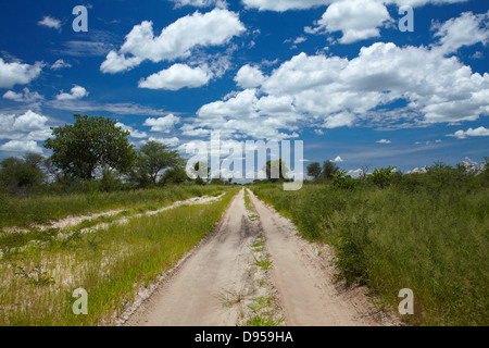 Track from Dobe Border to Nokaneng, North-western Botswana, Africa ...