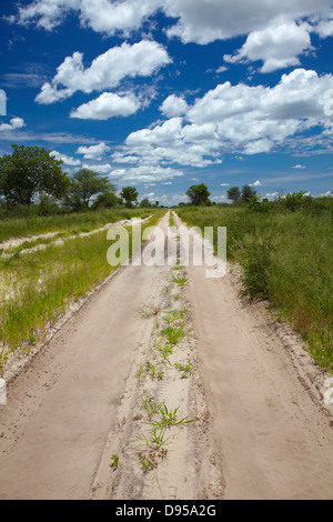Track from Dobe Border to Nokaneng, North-western Botswana, Africa ...