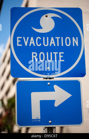 BLUE HURRICANE EVACUATION ROUTE SIGN IN FRONT OF PALM TREES FORT ...