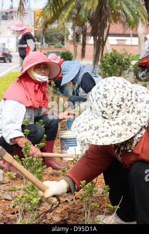 City workers tend to city planters. Shuitou Village, Kinmen County ...
