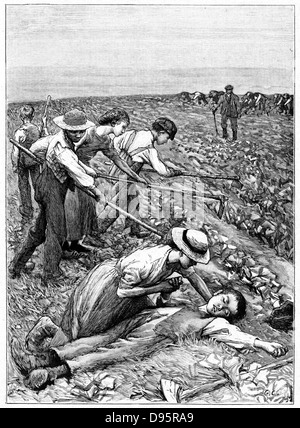 Gang System: teams of children were formed by contractor or 'ganger ...