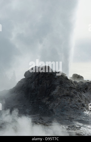 Castle Geyser Erupting, Yellowstone NP, WY Stock Photo - Alamy