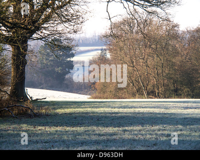 Pasture fields with frost in November cold, in Kent, England Stock ...