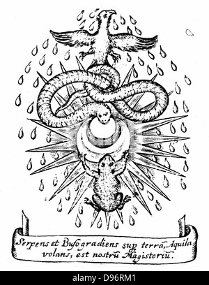 Alchemical symbolism: toad and serpent represent two basic types of ...