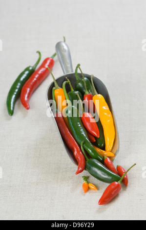 yellow green and red peppers on the cutting board Stock Photo - Alamy