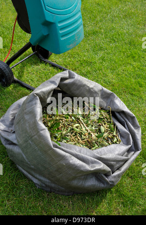 Garden shredder with shredded shrub waste Stock Photo - Alamy