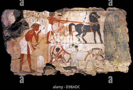 Fresco from the tomb of Nebamun, shows Nebamun on a small papyrus Stock ...