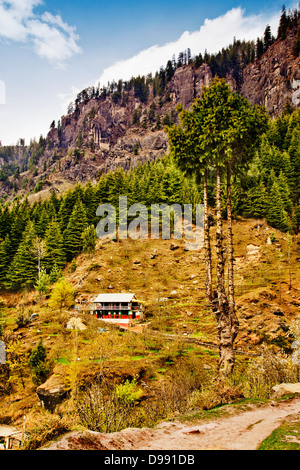 Trees on a hill, Manali, Himachal Pradesh, India Stock Photo - Alamy