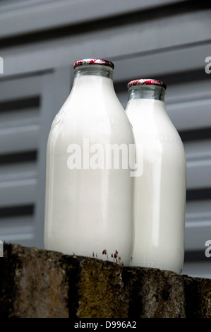 Two full pint milk bottles on doorstep, one green top and one silver ...