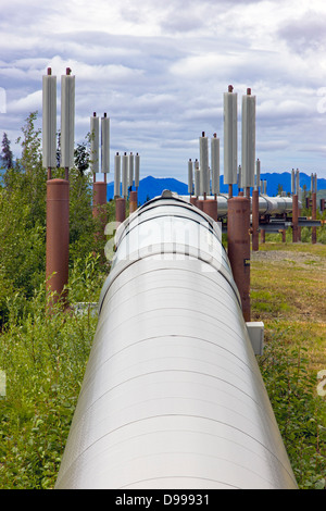 The elevated Trans-Alaskan oil pipeline at the Alyeska Pipeline ...