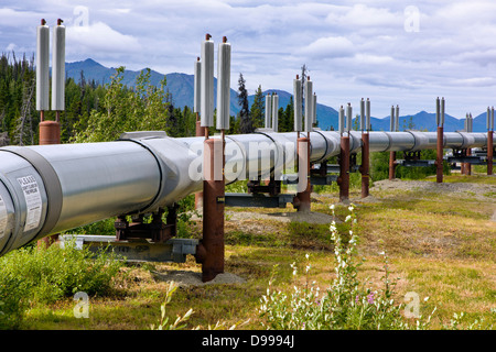 The elevated Trans-Alaskan oil pipeline at the Alyeska Pipeline ...