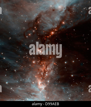 This image shows the Orion nebula, a nebula where stars are born ...