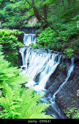 Waterfall in Karuizawa Stock Photo - Alamy