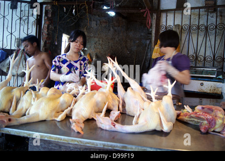 Chickens, farmers' market in shenzhen, people buying live chickens. In ...