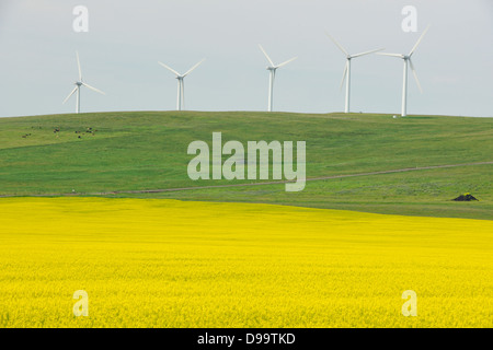 Wind Turbines, Cowley Ridge, Alberta Stock Photo - Alamy