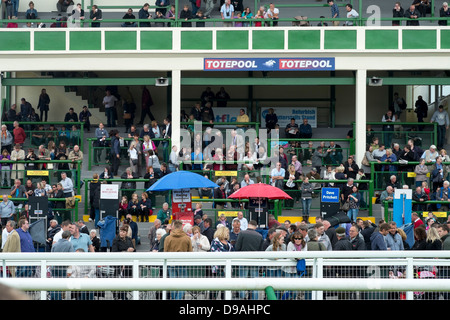 Crowds of spectators in grandstand at horse racing in Happy Valley ...