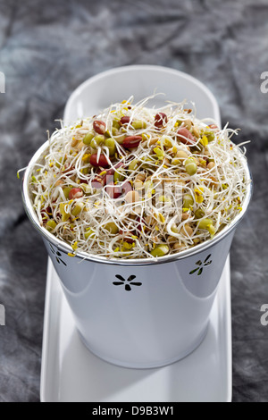 Mixed sprouts salad in container, close up Stock Photo - Alamy