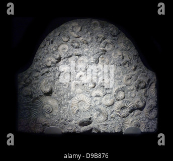 Memorial stone. The tombstone-like appearance of this rock is fitting ...