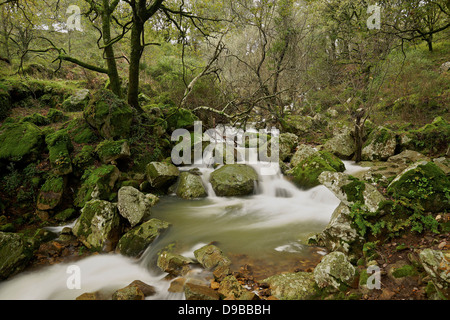 waterfalls river, Los Alcornocales andalusia natural park forest ...