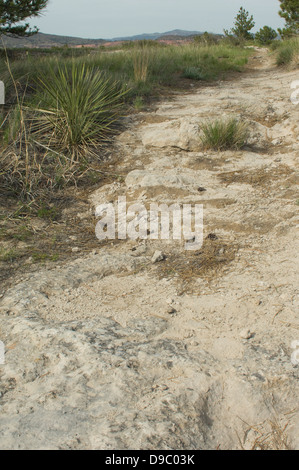 Oregon Trail ruts near Guernsey, WY, a National Historic Monument. The ...