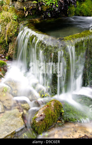 The crocodile spring conduit, Compton Abdale, Gloucestershire, England ...