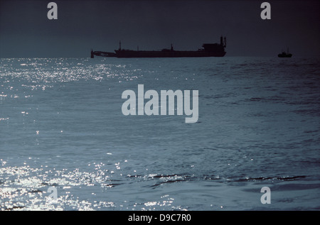 Fulmar A platform Stock Photo - Alamy