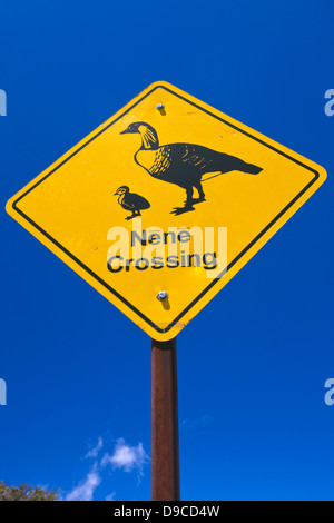 Nene Crossing sign Haleakala National Park Maui Hawaii Stock Photo - Alamy