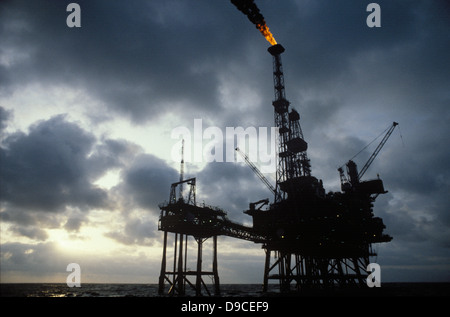 Fulmar A platform Stock Photo - Alamy
