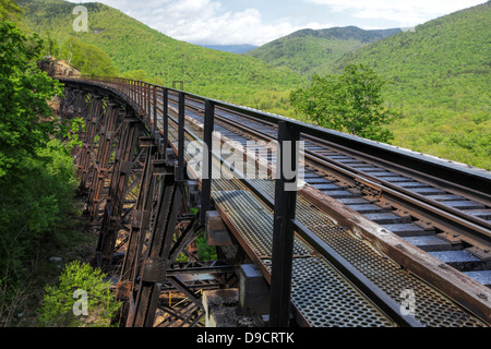 Side view of Frankenstein Trestle along the old Maine Central Railroad ...