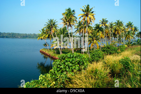 Beautiful Kerala Landscape and Nature Sceneries Stock Photo - Alamy