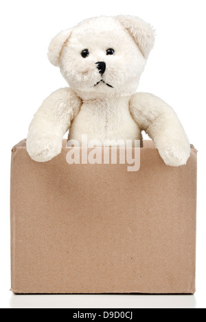 Old teddy bear in a cardboard box with styrofoam packaging Stock Photo ...