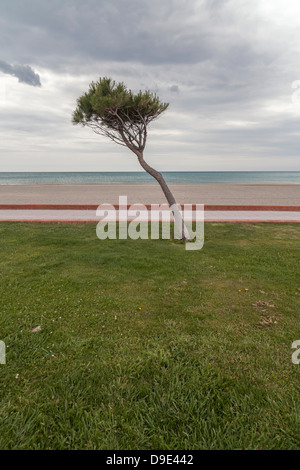 hospitalet de l´infant,catalonia,spain Stock Photo - Alamy