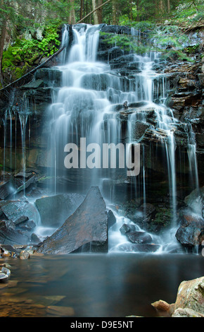 DUTCHMAN FALLS LOYALSOCK CREEK LOYALSOCK STATE FOREST SULLIVAN COUNTY ...
