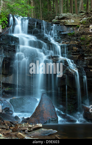 DUTCHMAN FALLS LOYALSOCK CREEK LOYALSOCK STATE FOREST SULLIVAN COUNTY ...