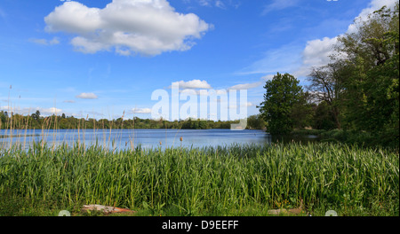 The Mere, Ellesmere, Shropshire Stock Photo - Alamy