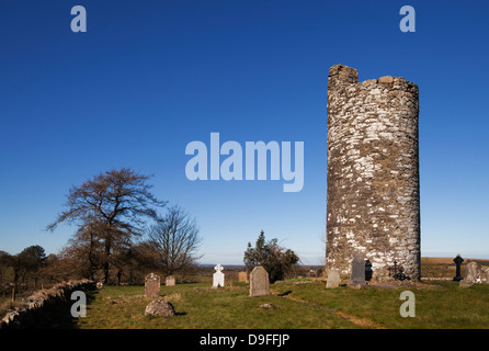 Old Kilcullen Graveyard, Co Kildare, Ireland; High Cross Stock Photo ...