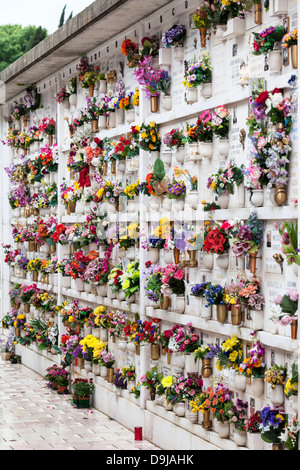 Italian cemetery with wall graves Stock Photo - Alamy