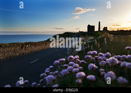 Irish mining. Ancient copper mines mine Ireland. Ross island copper ...