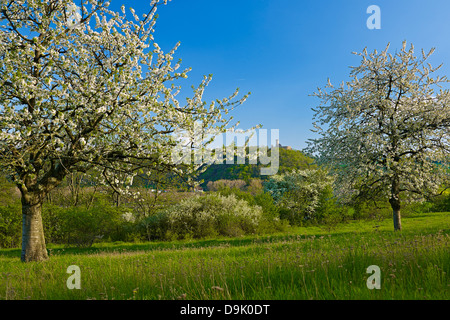Muehlburg Castle near Muehlberg, Drei Gleichen, Thuringia, Germany ...