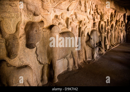 Carving at Krishna Mandapam in Mahabalipuram at Tamilnadu India Asia ...