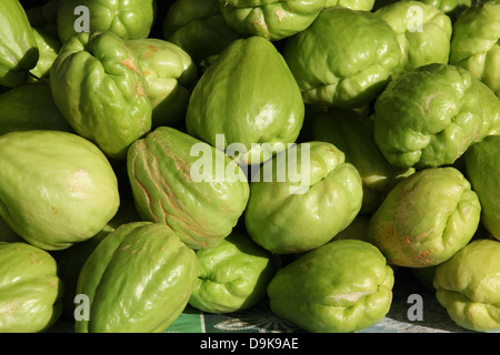 Cho-Cho or Cho Cho vegetable Stock Photo - Alamy