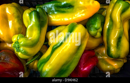 colorful bell peppers, natural background, yellow and red peppers Stock ...
