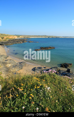 A view of the rocky Cornwall coast with the Godrevy Lighthouse behind ...