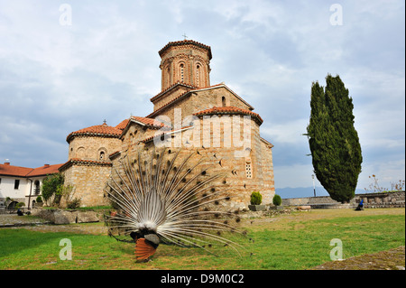 Peacock displaying at St Naum Monastery, Ohrid, Macedonia Stock Photo ...