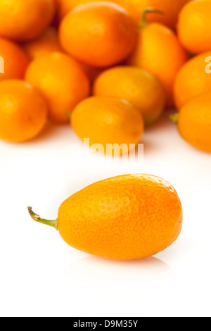 Tropical small ripe orange citrus fruits kumquats on tree, close up ...