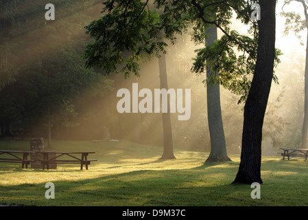 sunlight, wooden table, sun ray, sun rays, sunbeam, sunbeams, sunlights ...