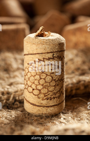 Rustic Brown Wine Corks in a large group Stock Photo - Alamy